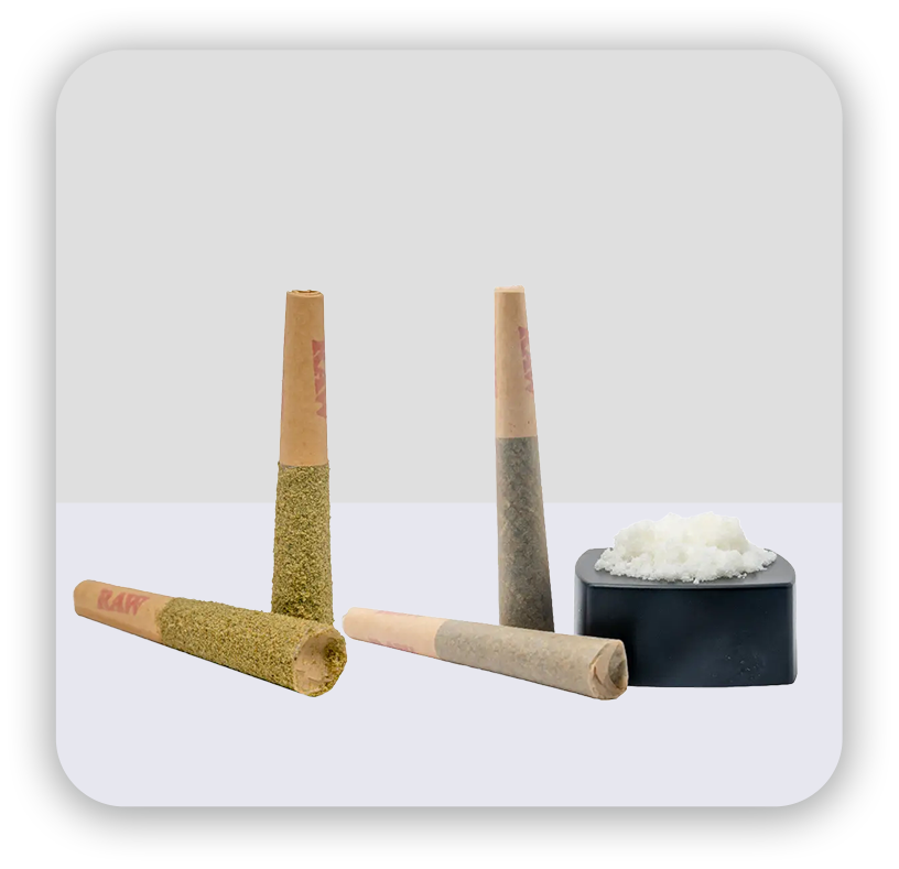 Hemp Supply Prime | Bulk Flower, Pre-Rolls, Blunts & Gummies